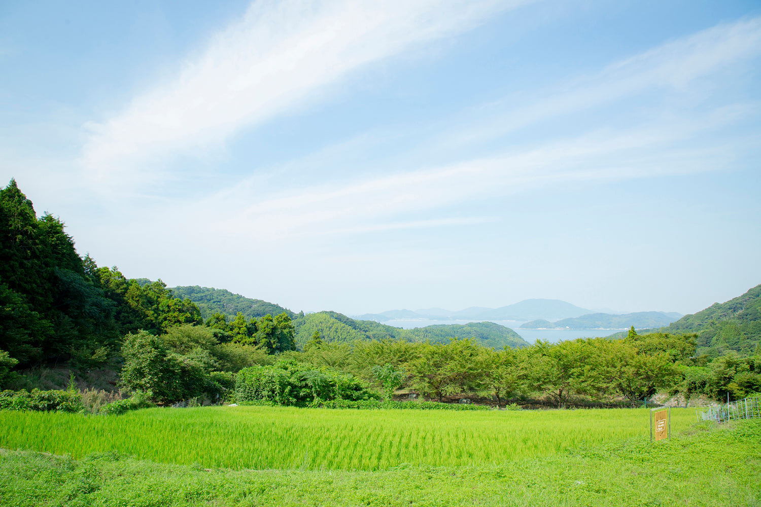 Case Study Club online store – Case Study Club Online Store