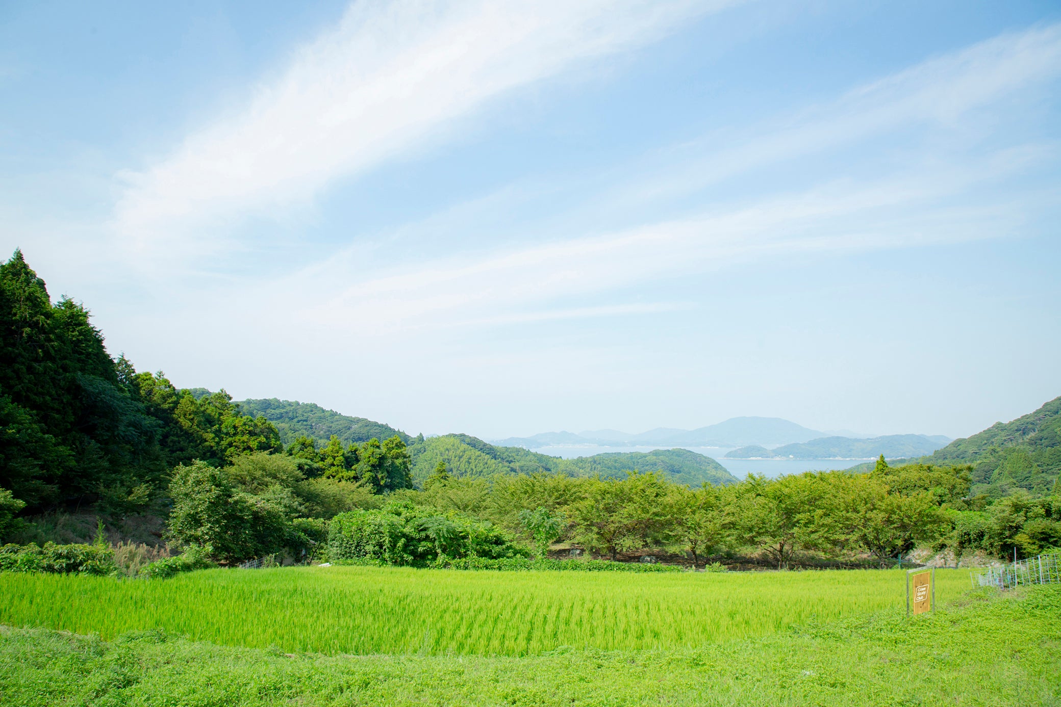 Case Study Club online store – Case Study Club Online Store